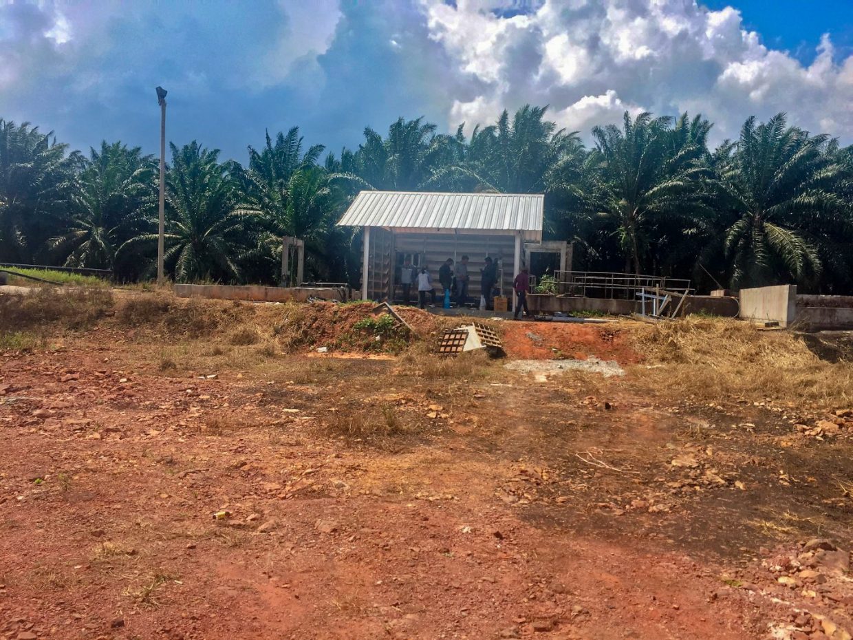 pic (1 von 3) - Weber-Entec